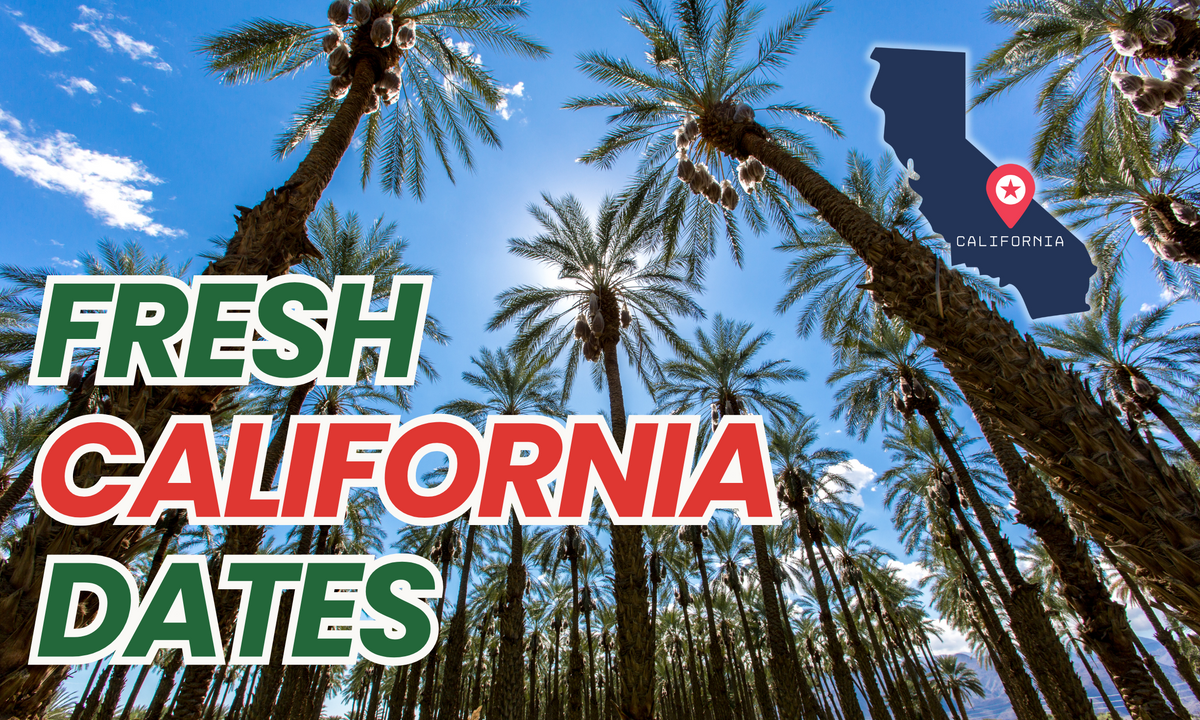 Premium California Dates – Medjool Days