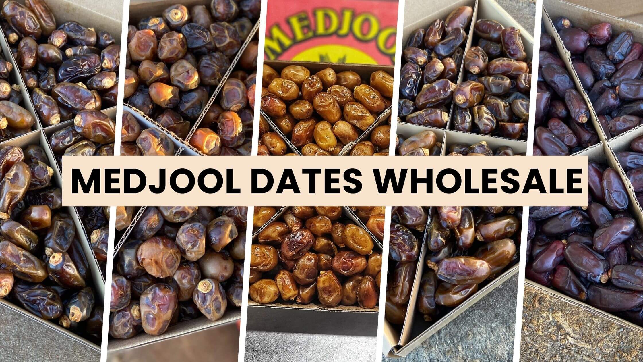 Buy Medjool Dates Wholesale Online Straight From California – Medjool Days
